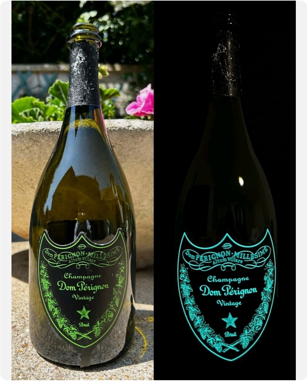 Dom perignon 1 Empty Bottle, Dom Perignon Botella Vacía, 750 ML Brut ...
