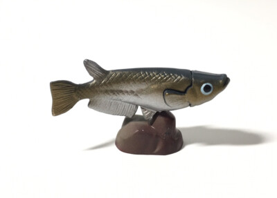 Kaiyodo Animatales Choco Q Series 1 Ricefish Rice Fish Figure | eBay