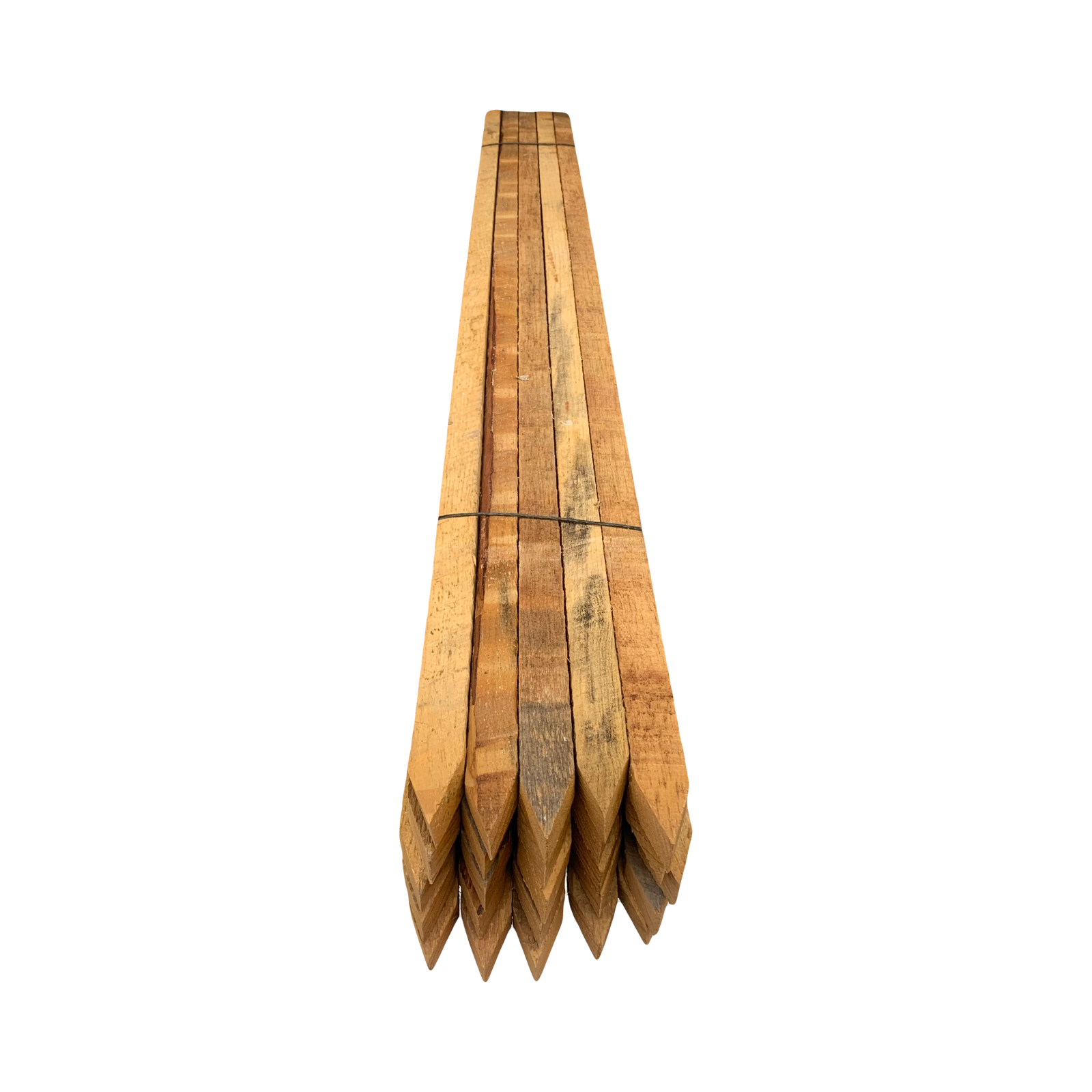 25-60” (5 ft) Tree Stakes Pressure Treated for Long Life | eBay