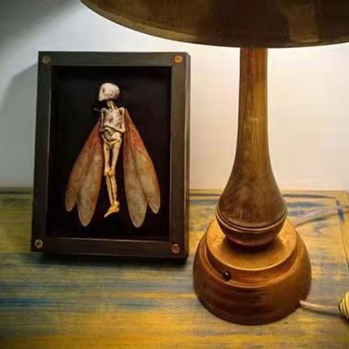 Cursed Items Dead Fairy Shadow Box Display Handmade Creepy Mummified ...