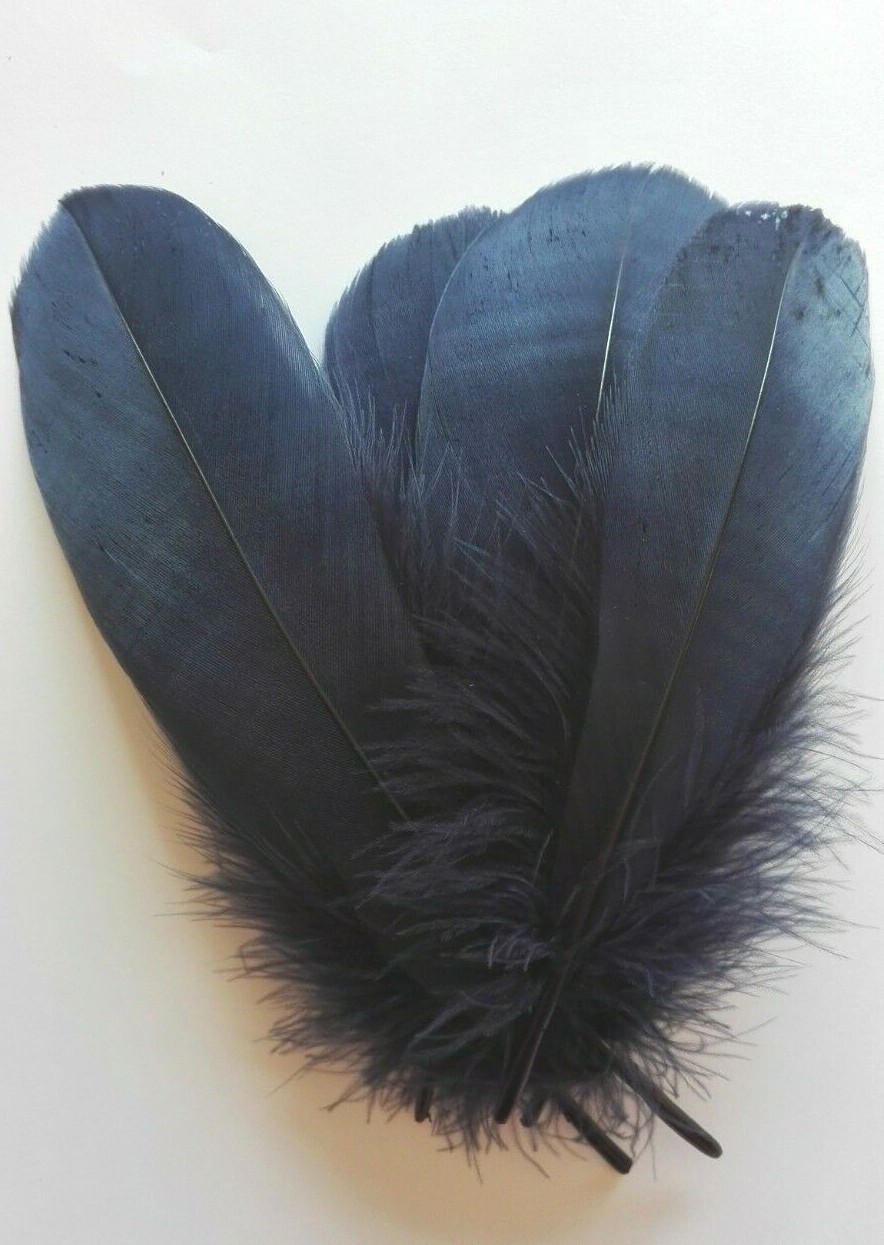 PACK OF 6 X GOOSE SHOULDER FEATHERS - CRAFTS, MILLINERY, FLY TYING ETC ...
