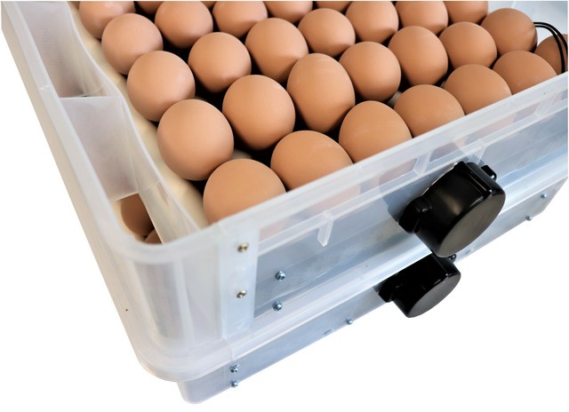 Rite Farm Products PRO120 Master Series 120 Chicken Egg Incubator ...