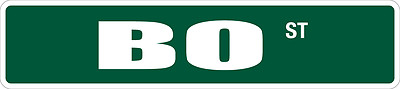 *Aluminum* Bo St 4" x 18" Metal Novelty Street Sign SS 590 | eBay