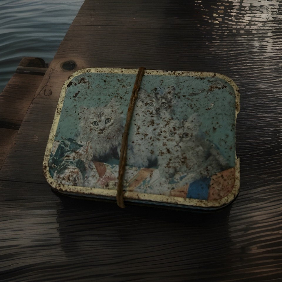 Old Tin with Fishing Lures | eBay UK