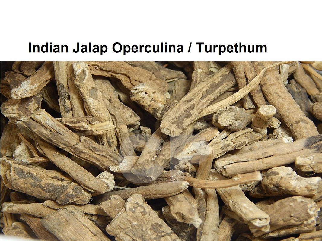 Jalap Operculina Turpethum Nishoth Trivrit Turpeth Stem Whole 100gm (3. ...
