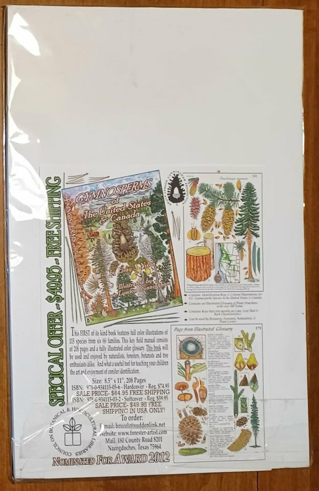 Bruce Cunningham Wedding