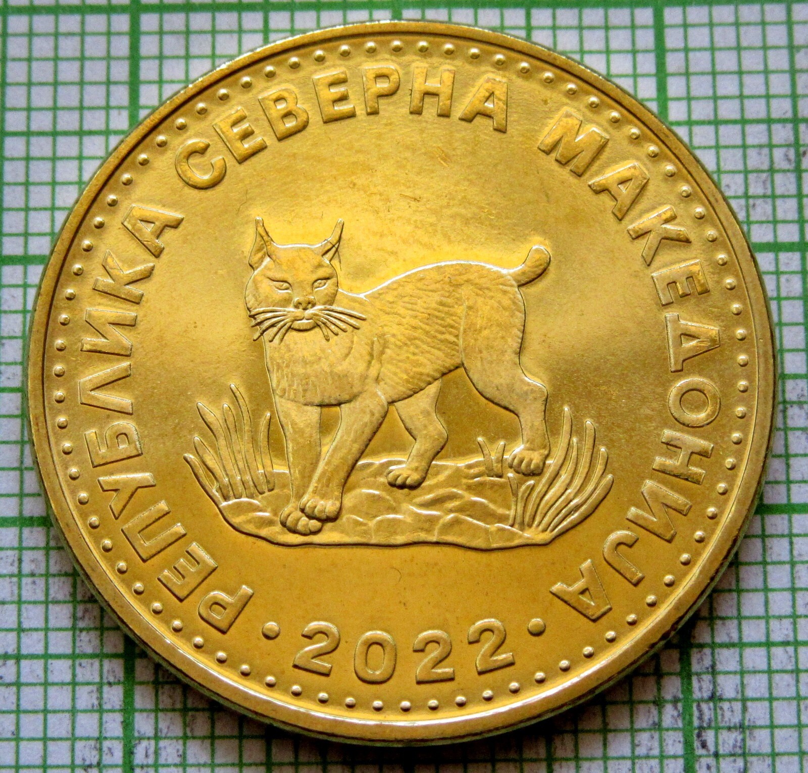 NORTH MACEDONIA 2022 5 DENARI, Balkan Lynx - lynx balcanicus UNC LUSTRE ...