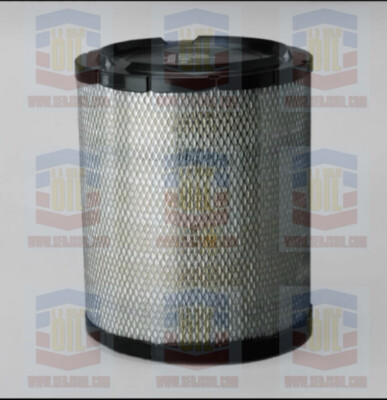 P543614 Donaldson Air Filter, Primary Radialseal | eBay