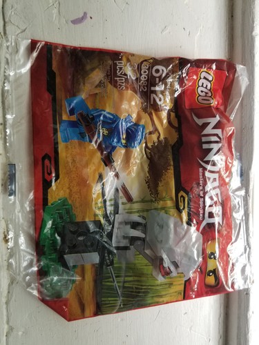 LEGO NINJAGO: Ninja Training (30082) for sale online | eBay