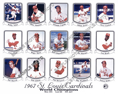 1967 ST. LOUIS CARDINALS WORLD SERIES CHAMPIONS 8X10 TEAM PHOTO GIBSON ...