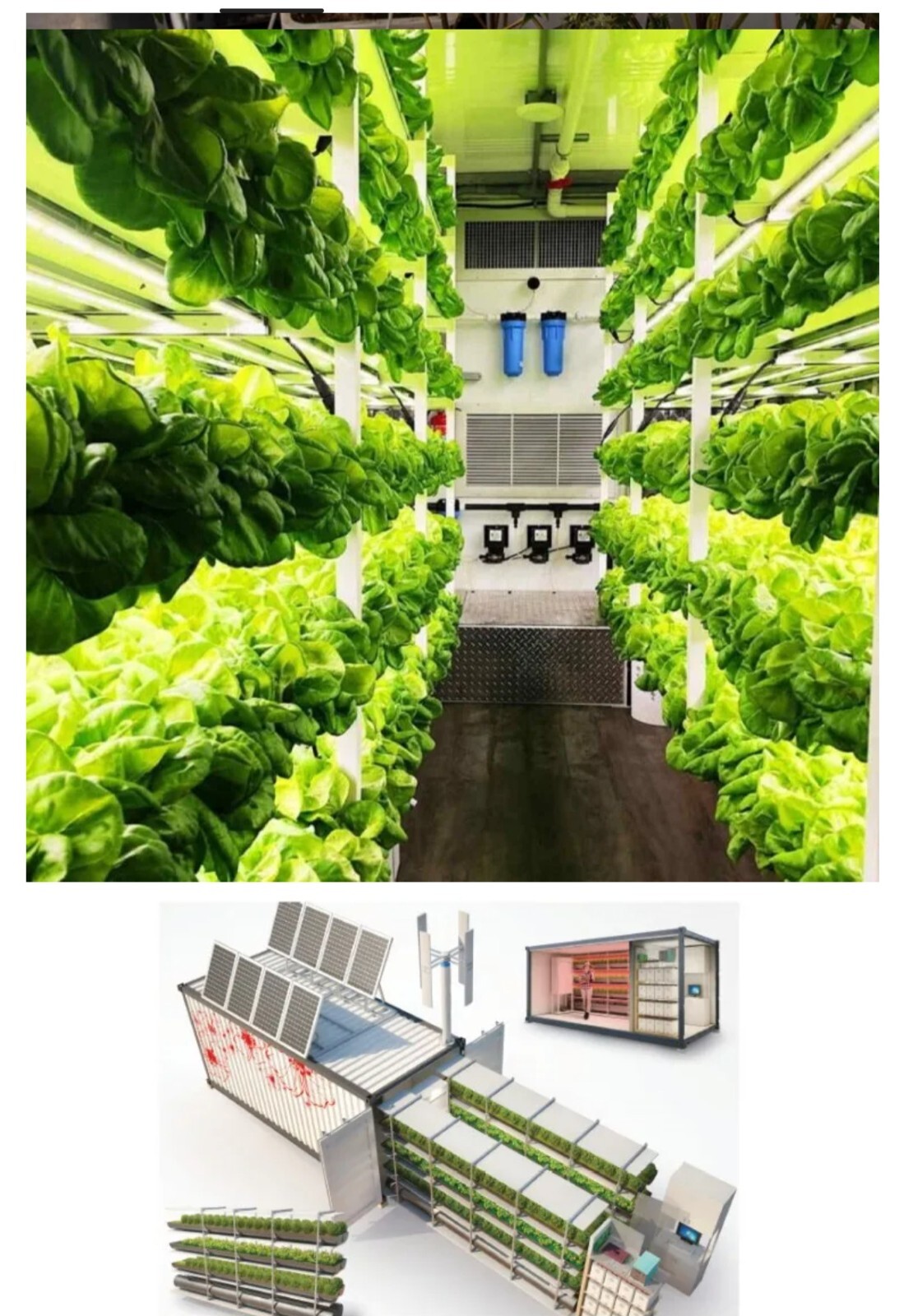 40ft Shipping Container Farm Hydroponic Urban Farming Closed Farming | eBay