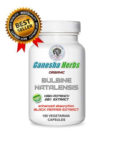 ORGANIC BULBINE NATALENSIS HIGH POTENCY 20:1 EXTRACT 200 CAPSULES | eBay