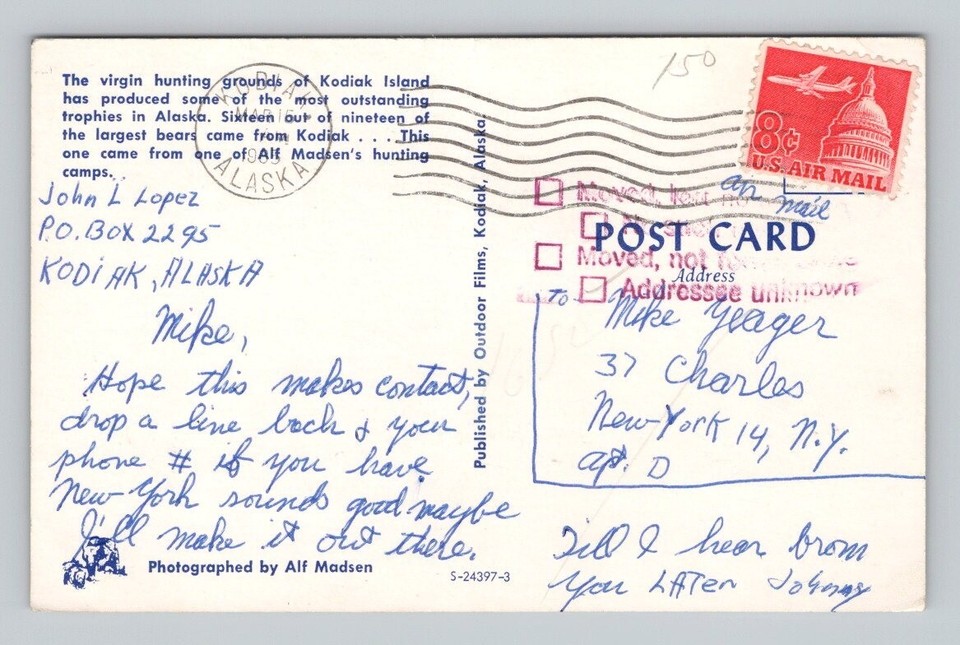Kodiak Alaska Dead Bear Hunting Alf Madsen's Hunting Camps Vintage Postcard BH | eBay