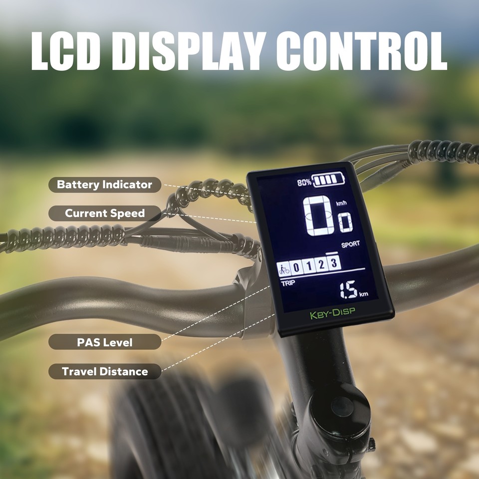 VIPDRIVE Electric Bicycle 26" Fat Tire Electric Bike Peak 750W 48V 13AH ...