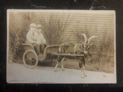 Mint USA RPPC Postcard Twins In A Goat Cart | eBay