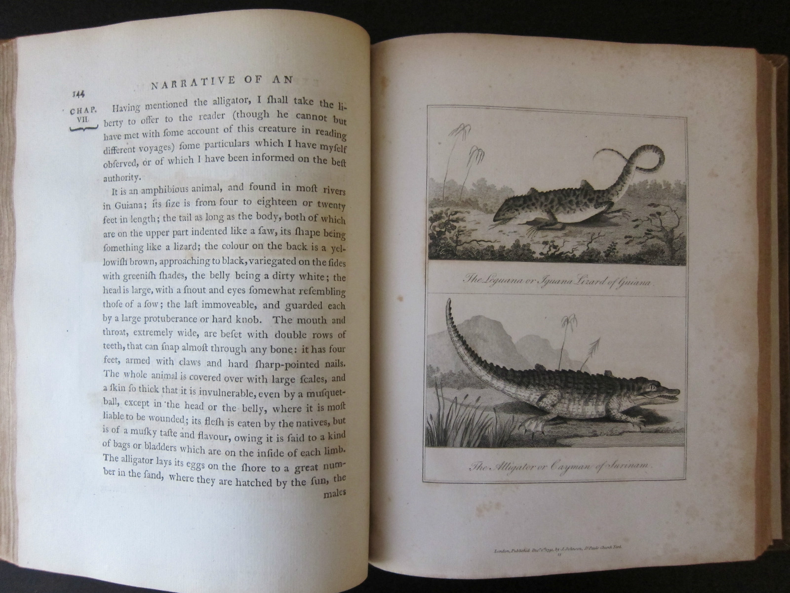 Narrative, of a Five Years' Expedition; Stedman; 1796; 1st Edition | eBay