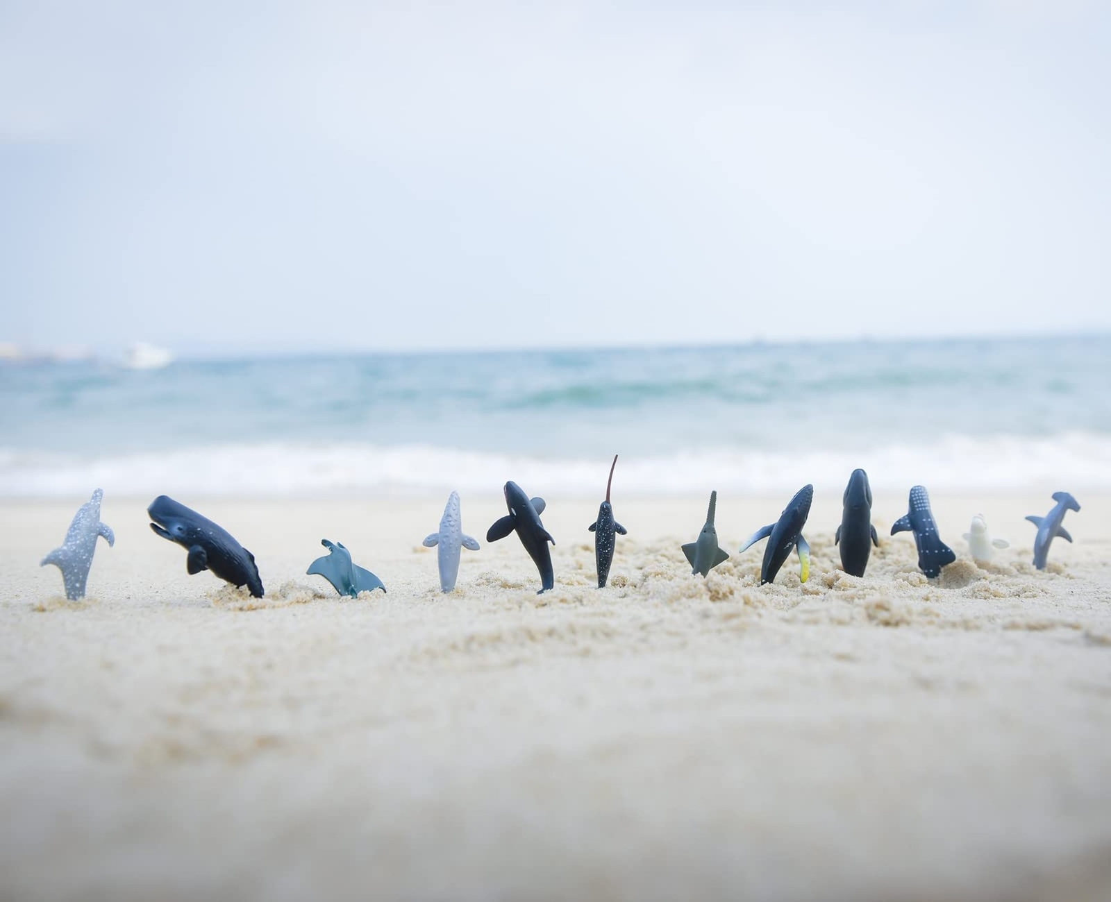 Sharks Figures Sea Animals Whale Toys Set Ocean Animal Action Figures ...