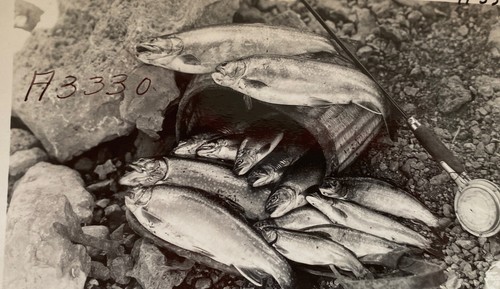 RPPC Fish Fishing Rod Basket Black & White Frashers Real Photo Postcard ...