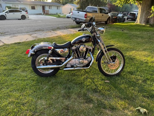 1985 Ironhead Harley Davidson With Springer Front End | eBay