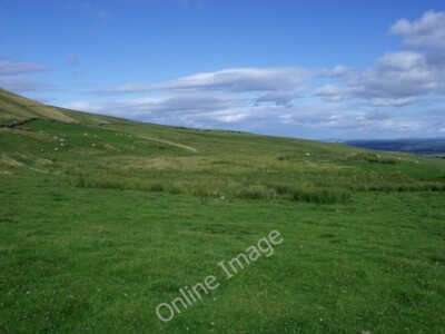 Photo 6x4 Little bog, Kilsyth Hills In these rushes there is a spring ...
