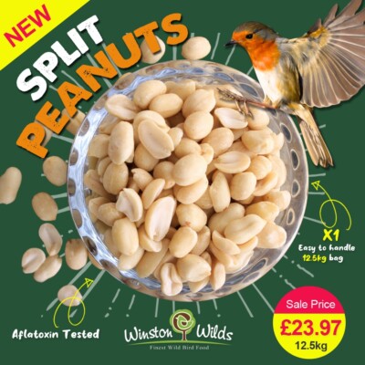 12.5kg Wild Bird Peanuts Splits. No Skins = Less Mess. SALE PRICE ...