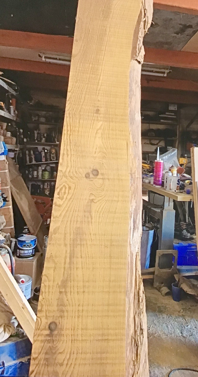 Waney Edge Cedar of Lebanon Wood Plank Air Dried 3000 x210 x42mm Shelf ...