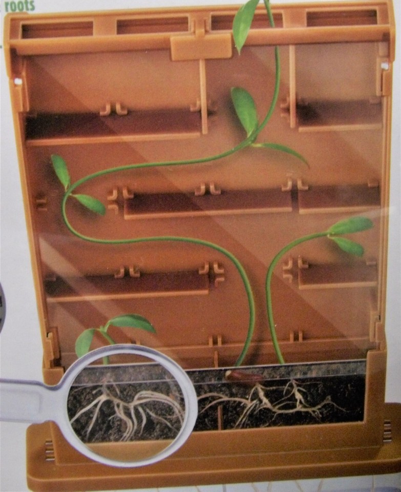 Green Science, Grow a Maze, NEW! age 8 up 4M Kit Watch Plant Grow Root ...