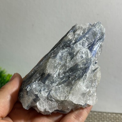 Rare Blue Crystal Natural Kyanite Rough Gem stone Specimen Healing 206g ...