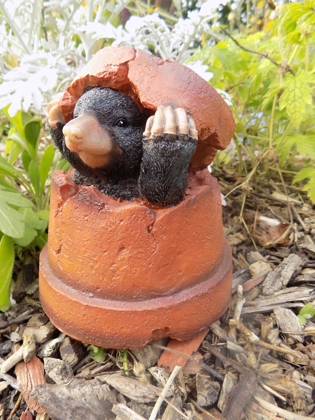 Mole in Terracotta Pot Garden Ornament - Resin Figure - Plant Pot Mole ...