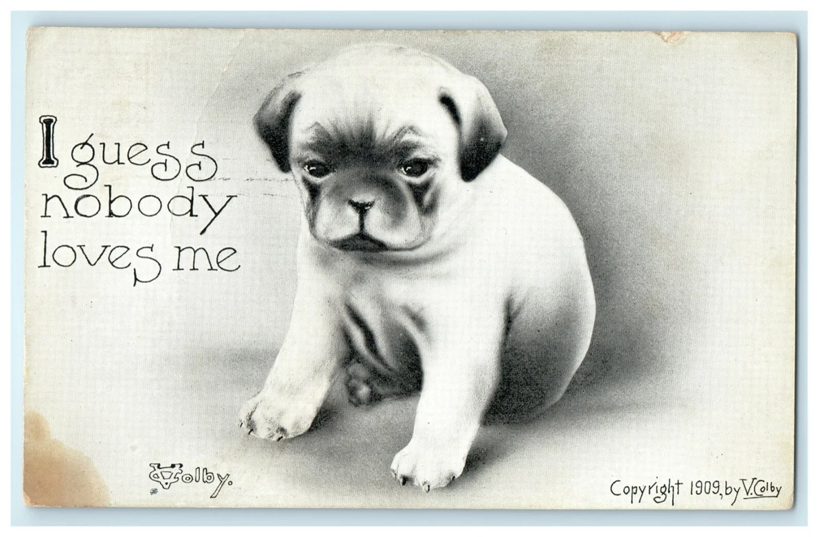 Nobody Loves Me Puppy