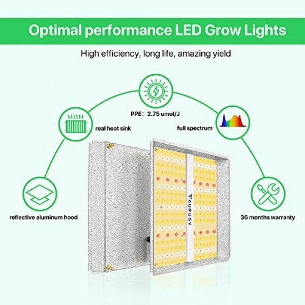Full Spectrum Quantum Board LED Grow Light 2x2ft Coverage Green House ...