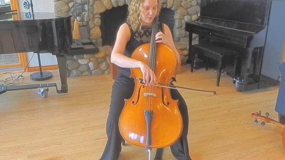 A good German Cello by Karl Hofner, Circa 1960 -VIDEO SAMPLE | eBay