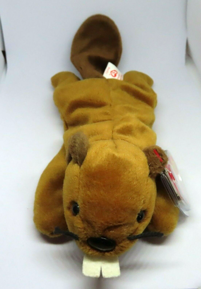 TY BUCKY the BEAVER BEANIE BABY - MINT with MINT TAG | eBay