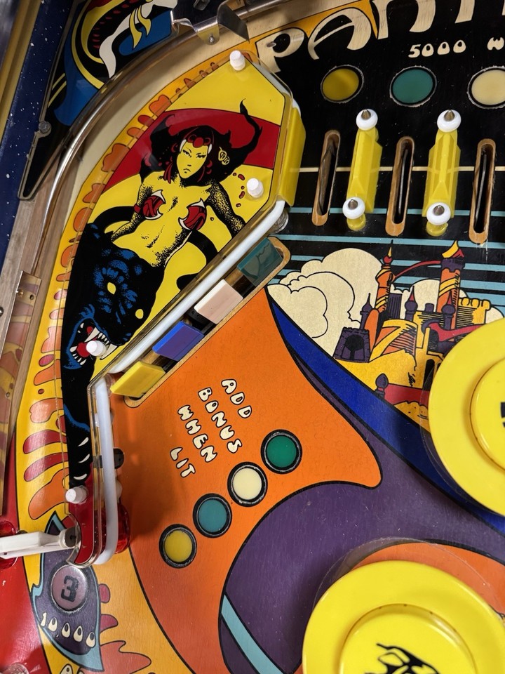 1980 GOTTLIEB PANTHERA PINBALL MACHINE PROFESSIONAL TECHS 8 DROP ...