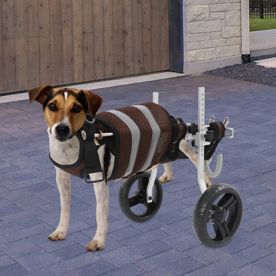 Pet Wheelchair for Back Legs Adjustable Pet Wheelchair Pet Wheelchair ...