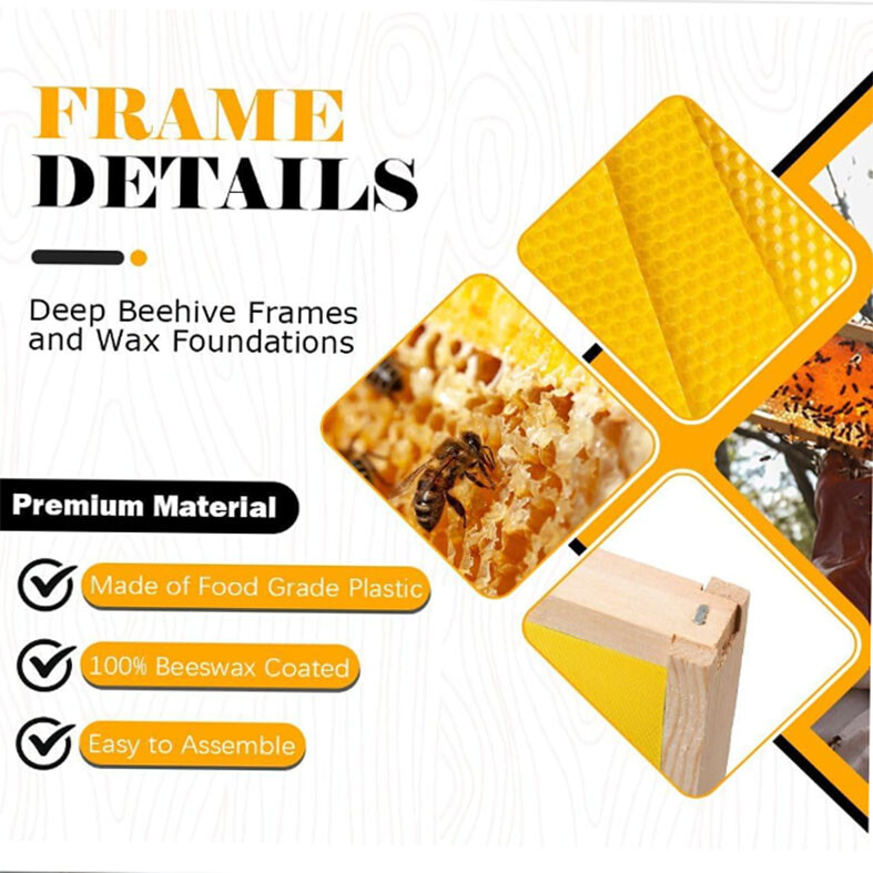 20 Pack Bee hive Frames and Wax Foundations for Deep Brood Bee Hives ...
