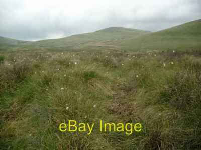 Photo 6x4 Bog cotton below Uamh Mhor Meall Leathan Dhail c2006 | eBay UK