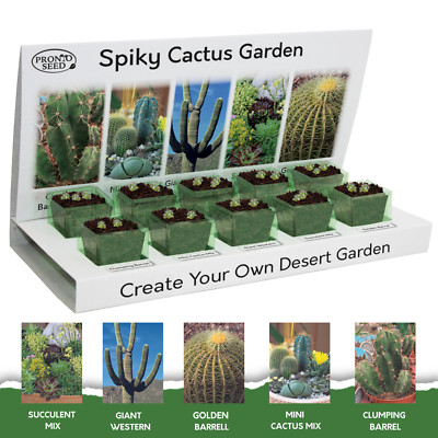 Cactus Seeds | Cactus Growing Kit | Gardening Gift For Women | Men ...