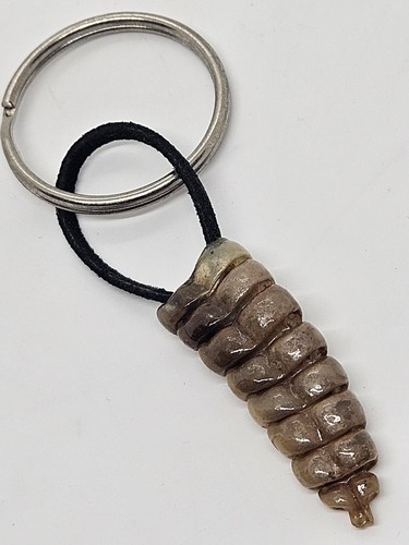 Vintage Southwestern Real Rattlesnake Snake Rattle Tail Keychain Key ...