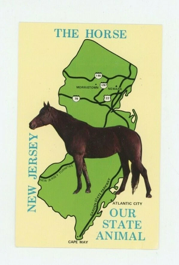 New Jersey Horse