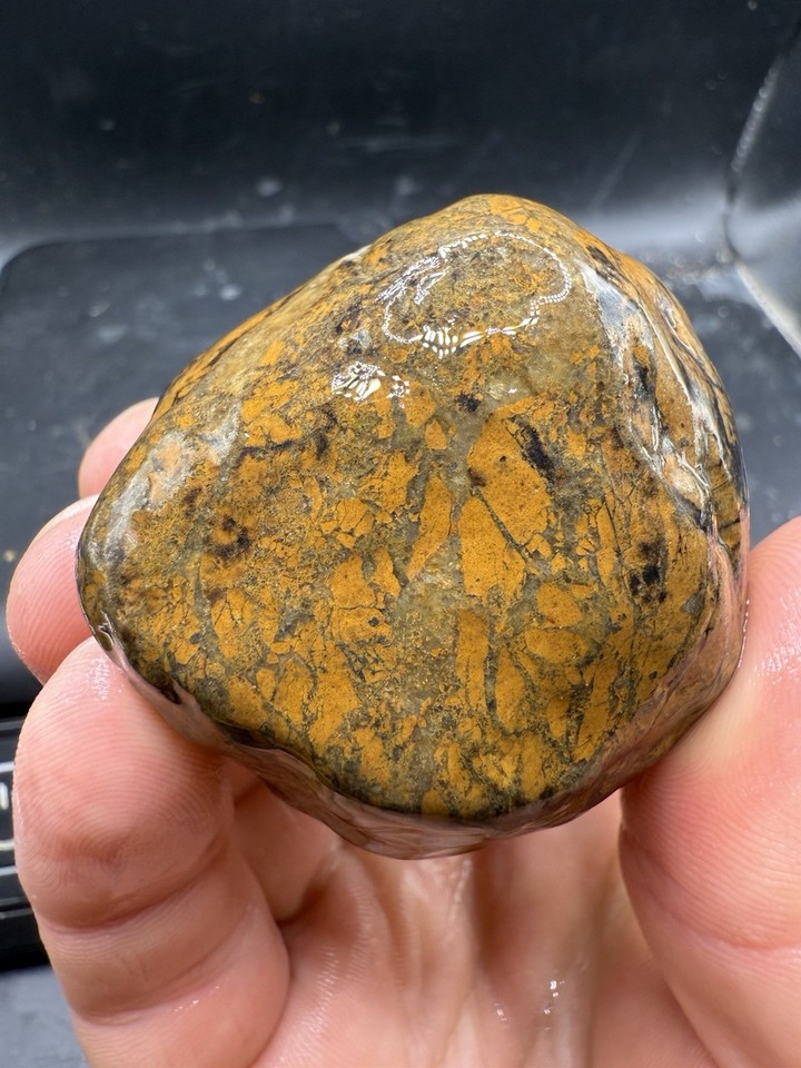 Indiana Ohio River Glacier Erratic Beach Polished Agate 1,225 Carats | eBay