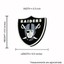 New NFL Oakland Raiders SILVER Fan Chain Necklace Foam Magnet - 2 in 1 ...