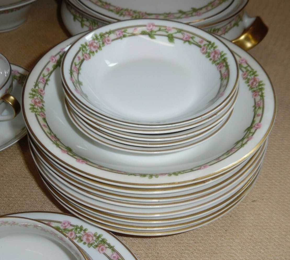 Theodore Haviland Limoges Porcelain Dinner Set - Wanamaker - Schleiger ...