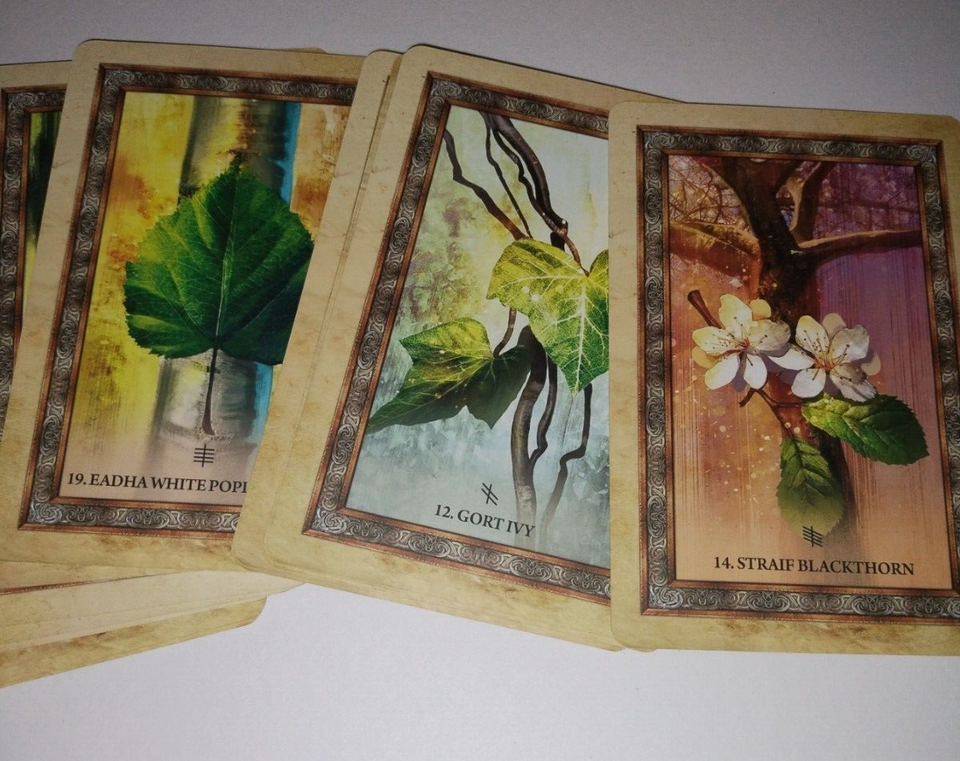 Celtic Tree Oracle by Sharlyn Hidalgo Oracle Cards BLUE ANGEL Deck ...