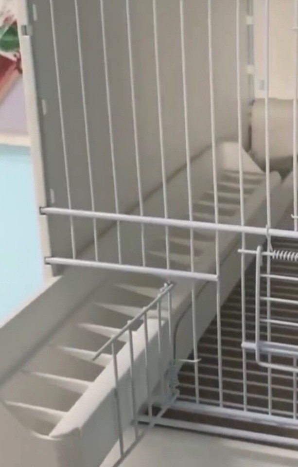 90cm 35" Plastic Double Breeding Cage & Divider 2GR- Budgie Canary ...