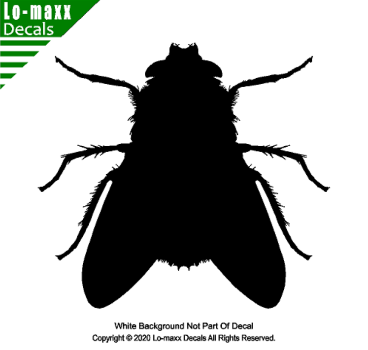 Fly Housefly Original Custom Graphic Art Superior Quality Die Cut Vinyl ...