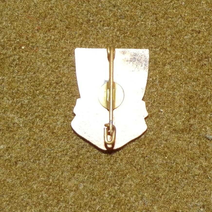 Original Postwar US Army 51st Medical Battalion DUI Unit Crest (pinback ...