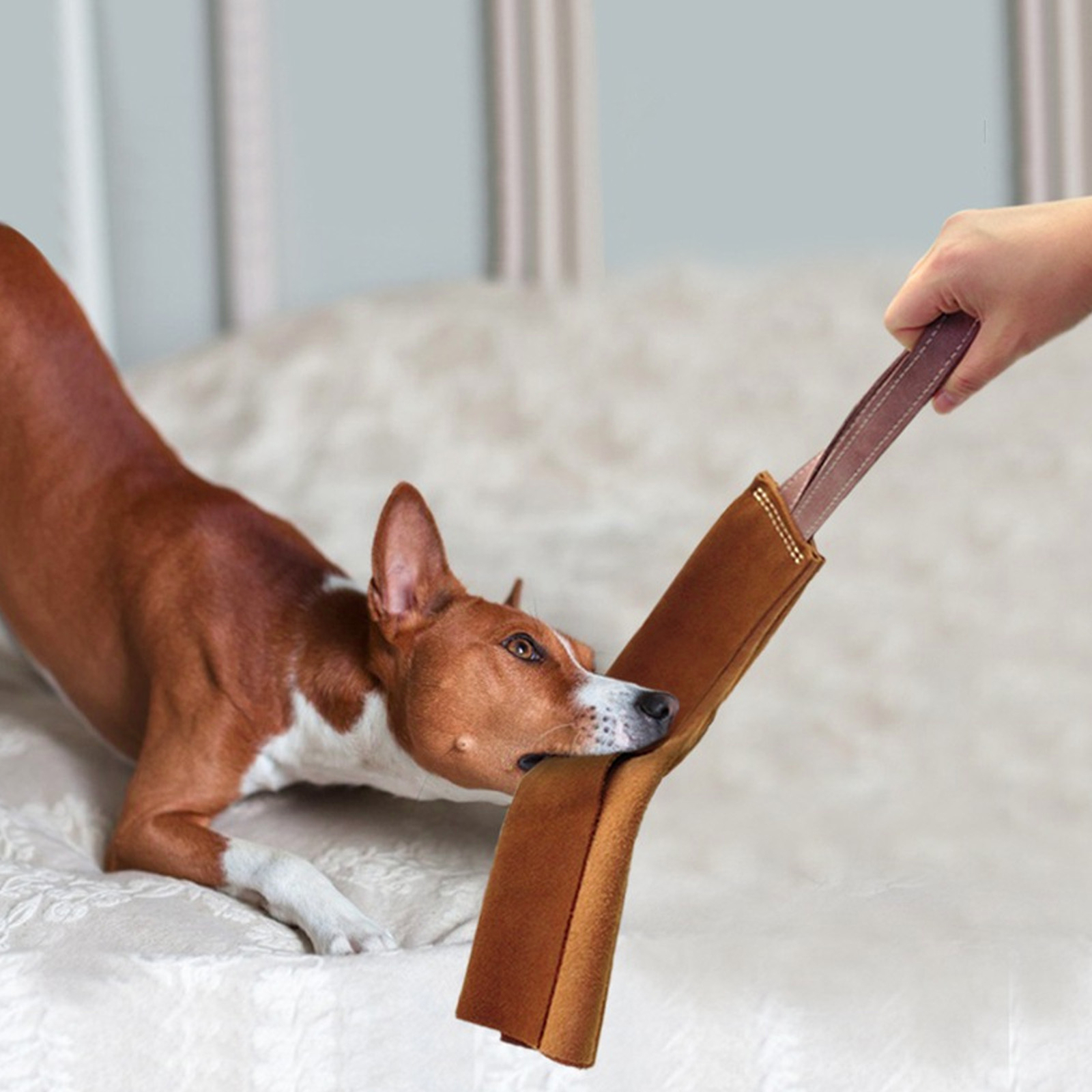 Dog Tug Toy Tear-resistant Relieve Stress Reusable Puppy Bite Cloth ...