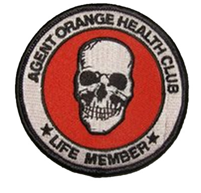 AGENT ORANGE HEALTH CLUB LIFE MEMBER VIETNAM VETERAN PATCH OPERATION ...