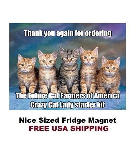 738 - Crazy Cat Lady Starter Kit Fridge Refrigerator Magnet | eBay